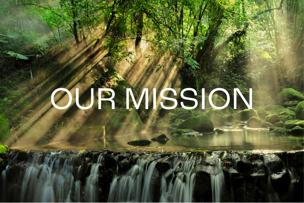 The Revive Eco Mission - Revive Eco