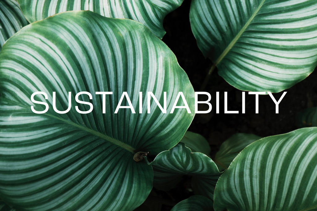 Sustainability at Revive Eco - Revive Eco